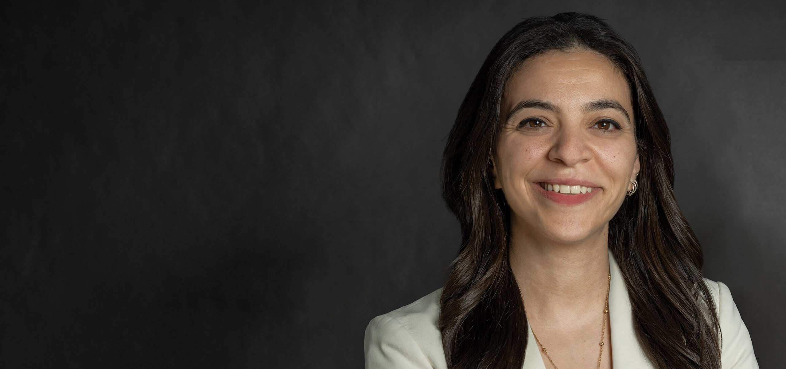 Dispute Resolution – Page 2 – Meysan